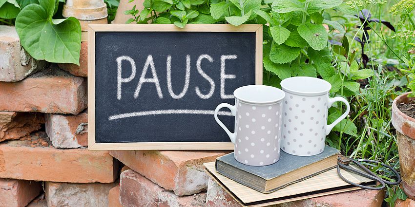 Presidents' Week Break | Capri Elementary School